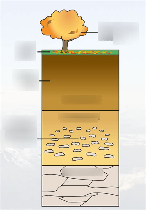 Soils Diagram Quizlet