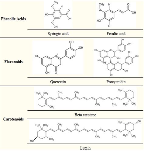 Dates Fruit And Food Dates Nutrition Facts And Benefits Of Eating Dates