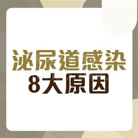 如廁習慣女子嫌公廁污糟半蹲如廁 致腎炎慘住院14日醫生曝關鍵原因附正確如廁姿勢 香港經濟日報 TOPick 健康 保健美