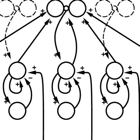 The Architecture Of The Fast Synchronization Model A Layer Of Download Scientific Diagram