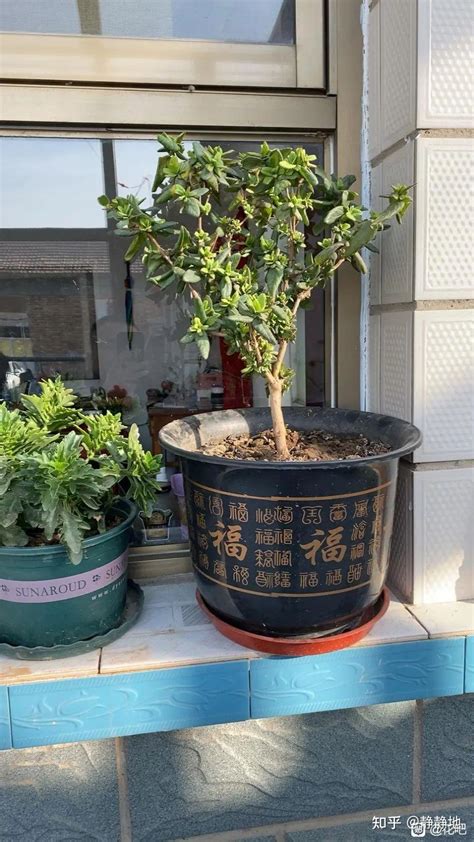 志同道合 知乎
