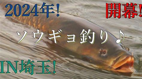 ★ソウギョ4 2024年シーズン『開幕ソウギョ釣り♪』を満喫だぁ🤣 Youtube