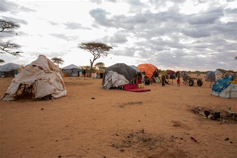 Kenyas Dadaab Struggles With New Influx Of Somalis Fleeing Drought UK For UNHCR