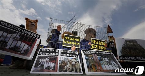 개도살 금지하라