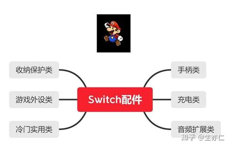 Switch 都买啥配件？
