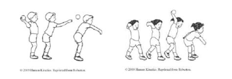 Chapter 8 Development Of Ballistic Skills Flashcards Quizlet