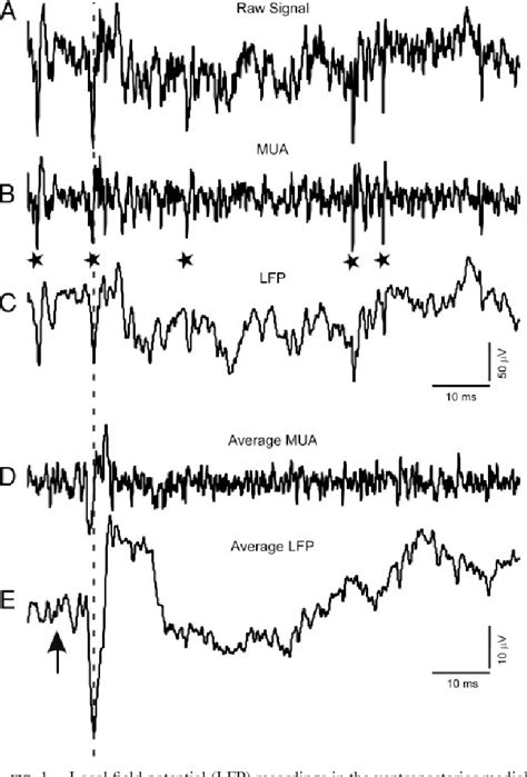 Figure 1 From Central Signals Rapidly Switch Tactile Processing In Rat