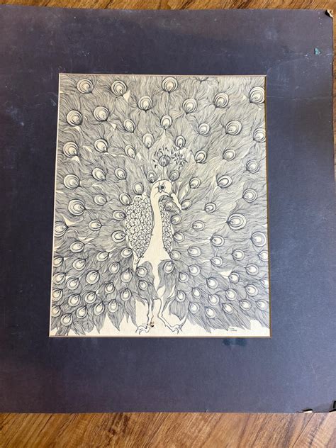 Peacock Graphite Pencil Drawing Large Vintage Art Etsy