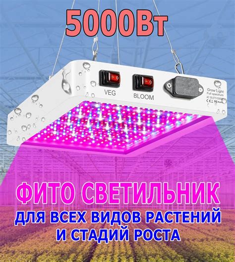 Фітодіодні світильники для рослин - купити в Україні на LEDUkraine.com