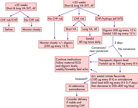 Supraventricular Tachycardia Algorithm