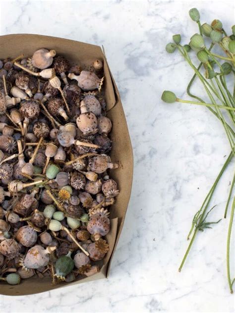 Trending On Gardenista Summer Rustic Remodelista Web Story Remodelista