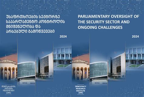 დემოკრატიის კვლევის ინსტიტუტი Democracy Research Institute