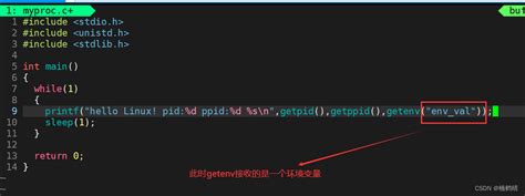 详解环境变量 CSDN博客
