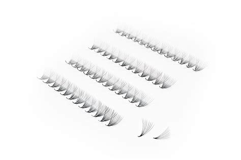 Rapid Promade Fans Revolution For Your Eyelash Extension