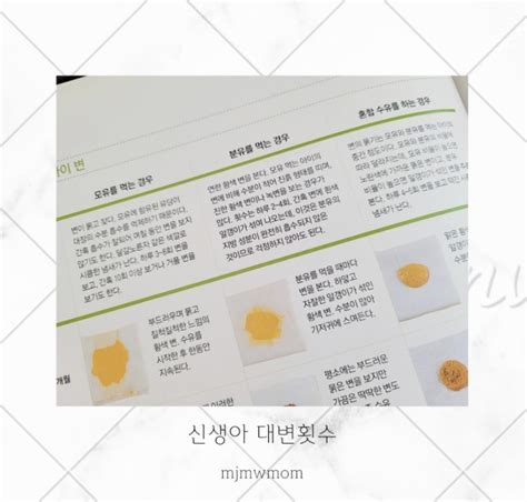 신생아 대변횟수 아기 변비 설사 묽은변 기준 응가 체크 네이버 블로그