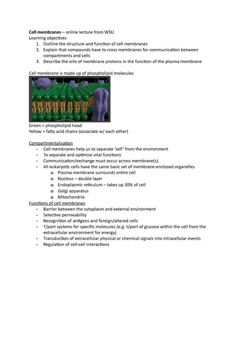 Cell Membranes Lecture Notes Cell Membranes Online Lecture From WSU Learning Objectives