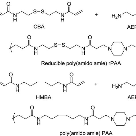 Schematic Representation Of The Core Crosslinked Micelles And