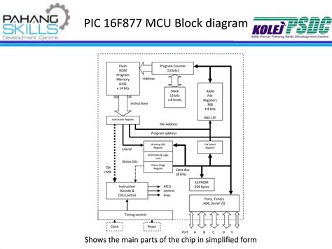 MICROCONTROLLER Pptx