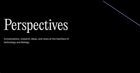 Perspectives