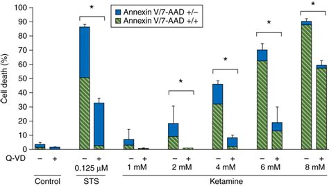 Apoptosis Induction In Neuroblastoma Cells Shep After 24 H Exposure