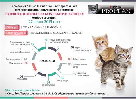 Калицивироз у кошек симптомы и схема лечения, лучший антибиотик, как ...