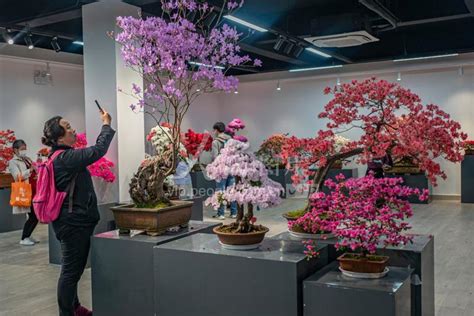 上海：乐游滨江森林公园 享受美好春光 人民图片网