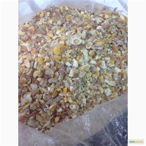 Продаем отходы кукурузы 1 2го класса Кировоградская обл — Agro Ukraine