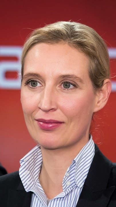 В ФРГ призвали Шольца и Бербок отправиться на фронт ФРГ Шольц Бербок