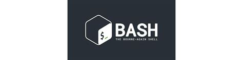 Bash Shell Logo Between Shell Bash And Others Socraticdevs Blog