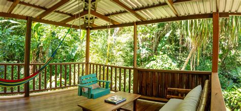 Treehouse Canopy