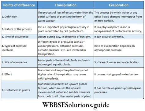 Transpiration In Plants Types Factors And Significance Wbbse Solutions