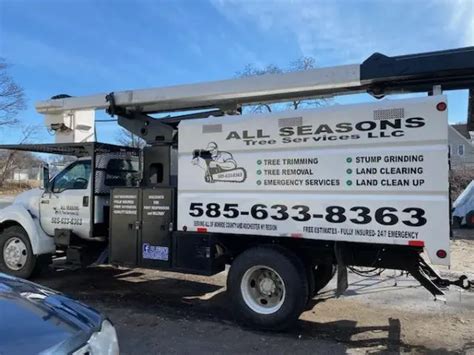 Tree Trimming Tree Removal Stump Grinding Pruning NY