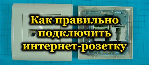 Как правильно подключить интернет розетку дома Spayte — Livejournal