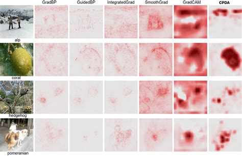 Explanations Created By Model Aware Methods Download Scientific Diagram