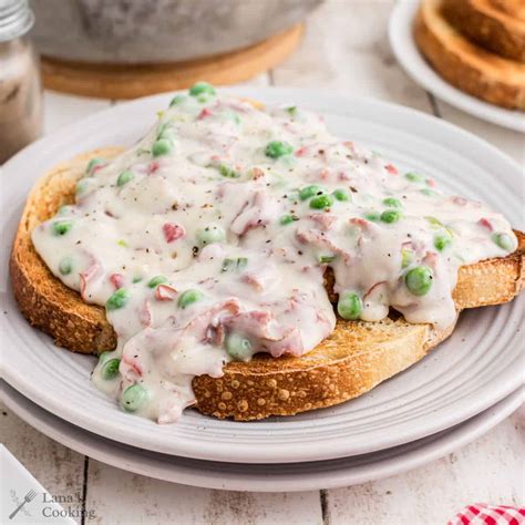 Main Dish Recipes Lanas Cooking