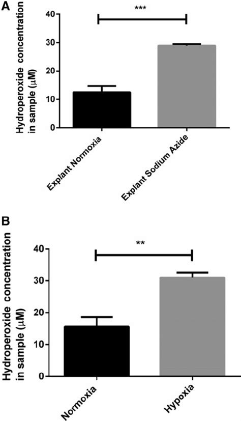 A Measurement Of Intracellular Reactive Oxygen Species Ros