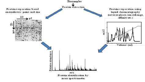 Schematic Diagram Of Proteomic Approach Download Scientific Diagram