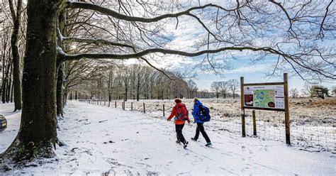 Code Yellow Due To Slippery Conditions And Up To 15 Centimeters Of Snow