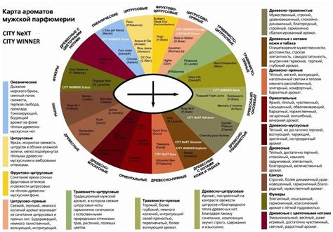 Multilingual Wheel Diagram