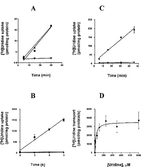 Figure 1 From Nucleoside Transporter Proteins Of Saccharomyces