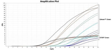 Cloning Aat Bioquest