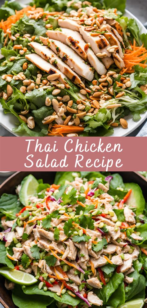 Thai Chicken Salad Recipe Cheff Recipes