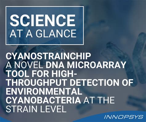 Cyanostrainchip A Novel Dna Microarray Tool For High Throughput