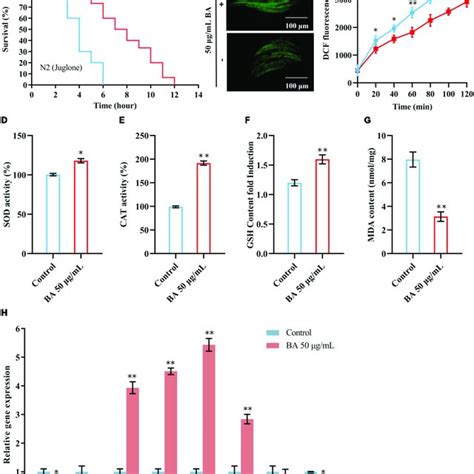 Schematic Of Mortality Deconvolution And Insulinigf‐1 Signaling Iis Download Scientific