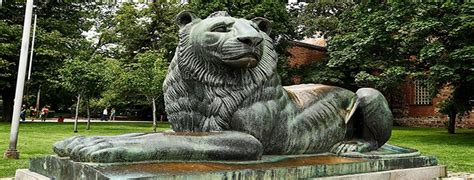 Димитър Данчев