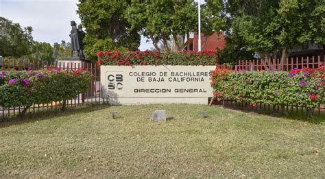Cobach Bc Procederá Por Obligar A Estudiantes A Acudir A La