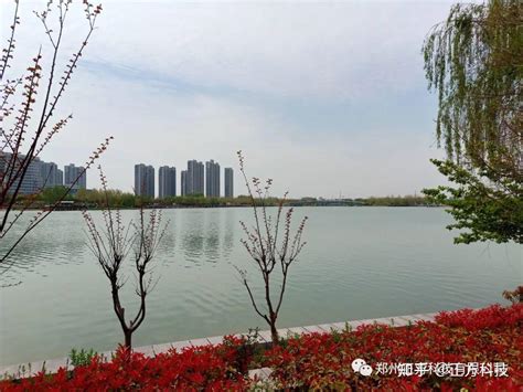 湖边露营感觉怎么样？郑州高新区天健湖可以吗？ 知乎