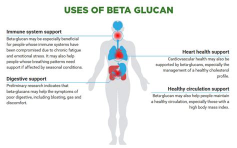 Beta Glucan Uses Natures Choice Supplements