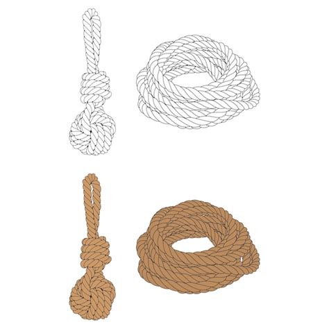 Premium Vector Set Of Rope Knots Borders Design Element Vector