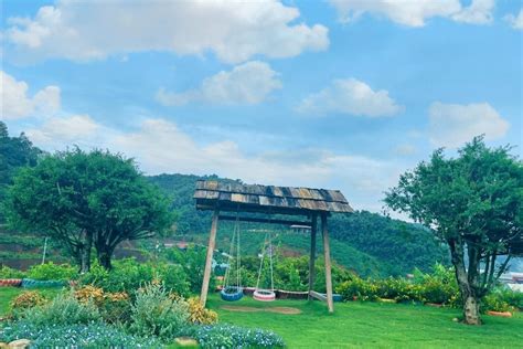 Khu Sinh Thái Không Phép Giữa Lòng Tp Lào Cai